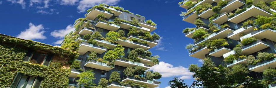 Low carbon social housing project finally takes shape | DISABILITY UPDATE